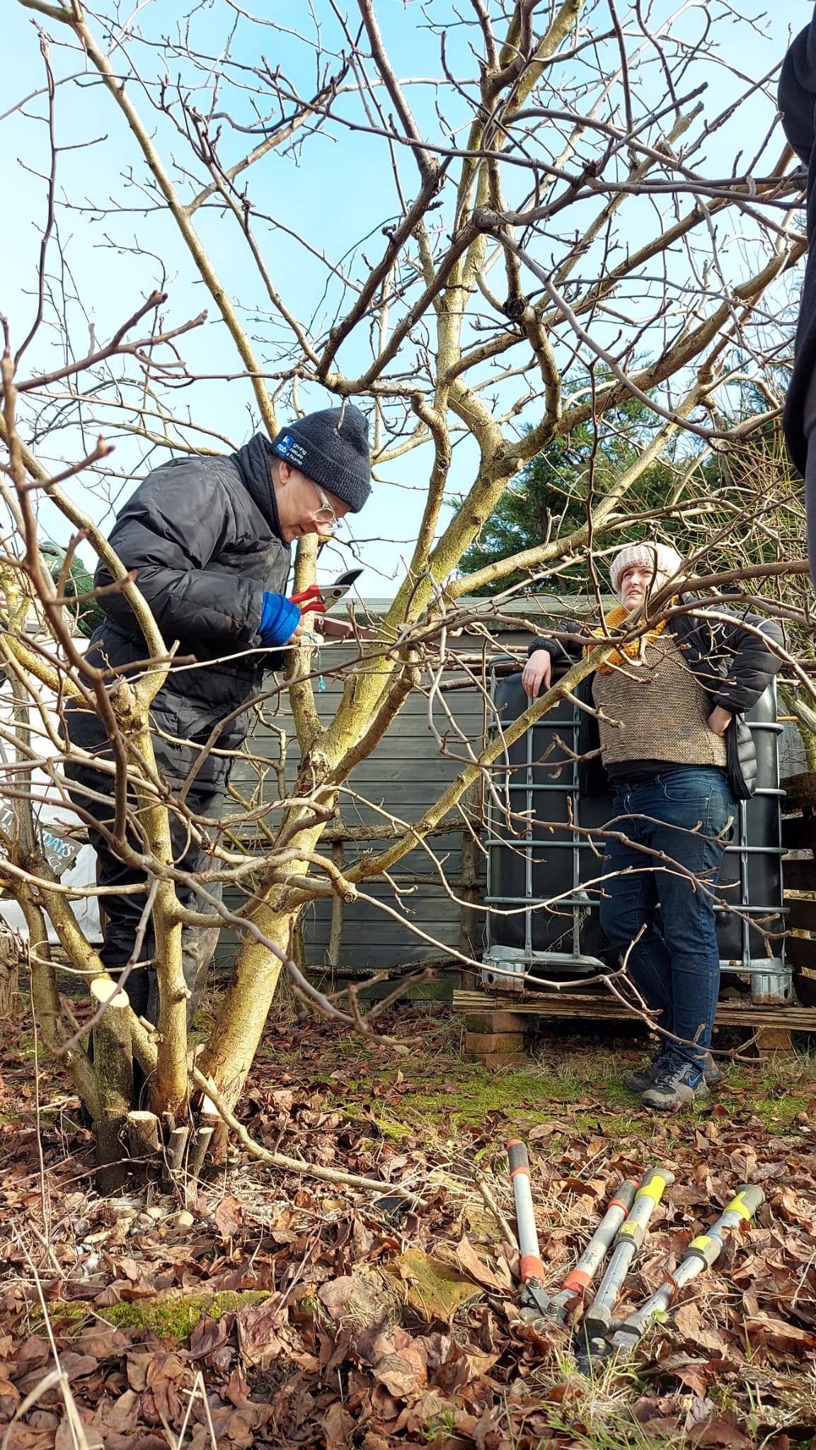 Fruit growing course – A friendly, inclusive outoor space in the heart ...