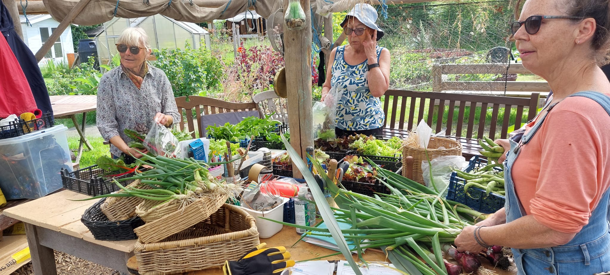 A friendly, inclusive outoor space in the heart of Whitstable